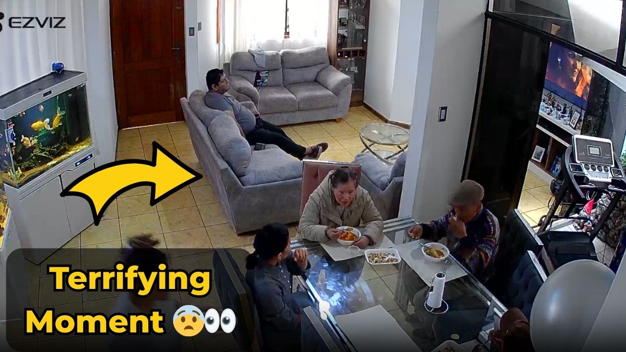 Dog refuses to leave as earthquake interrupts Father's Day celebration