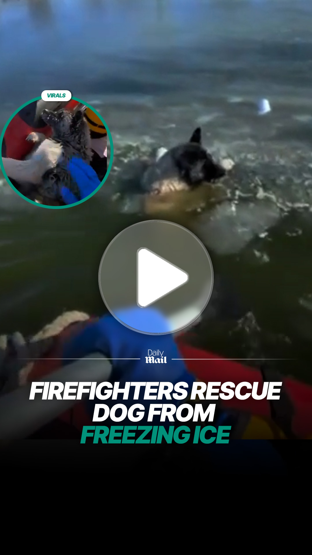 Firefighters rescue dog trapped on frozen ice