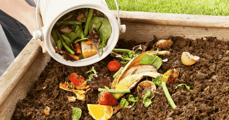 How to grow courgettes in containers for a heavy, healthy harvest