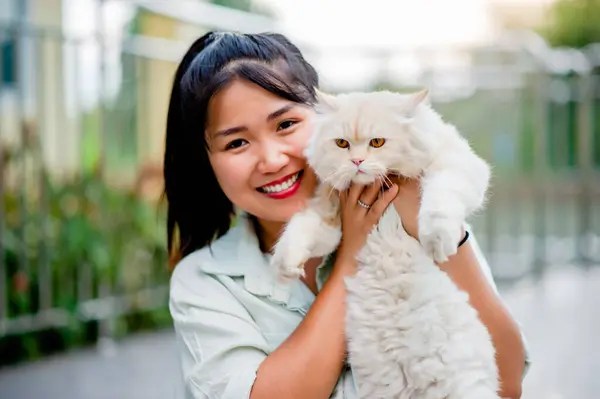 Saying “you’re safe with me” can change how your cat trusts you