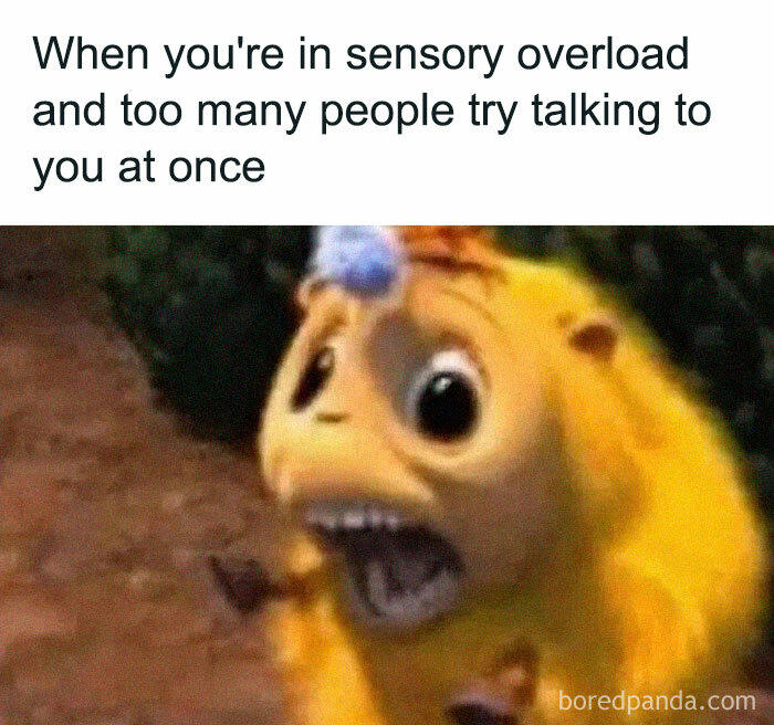 28 memes that introverts might recognize themselves in, shared by this ...