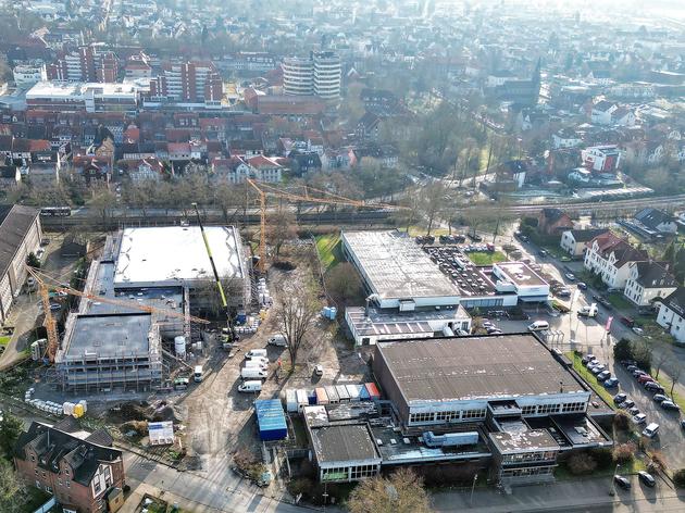 AfD fordert Bürgermeister Hartmann auf, Verantwortung für ...