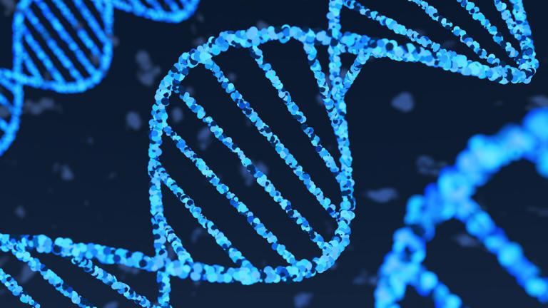 AI model from Google's DeepMind reads recipe for life in DNA