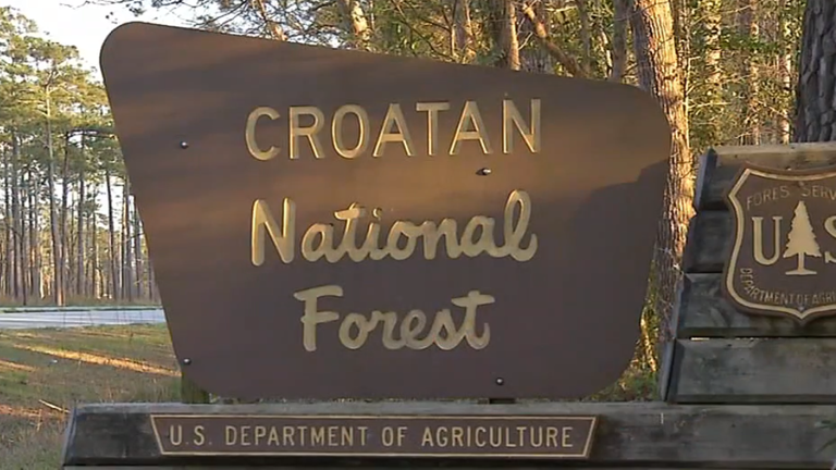 Croatan National Forest plans 700-acre prescribed burns near Havelock ...