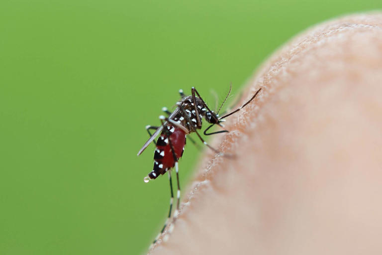 Climate change and extreme weather events threats to African malaria ...