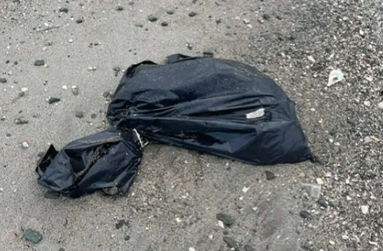 Connecticut animal advocacy group calls for tougher penalties in abuse ...