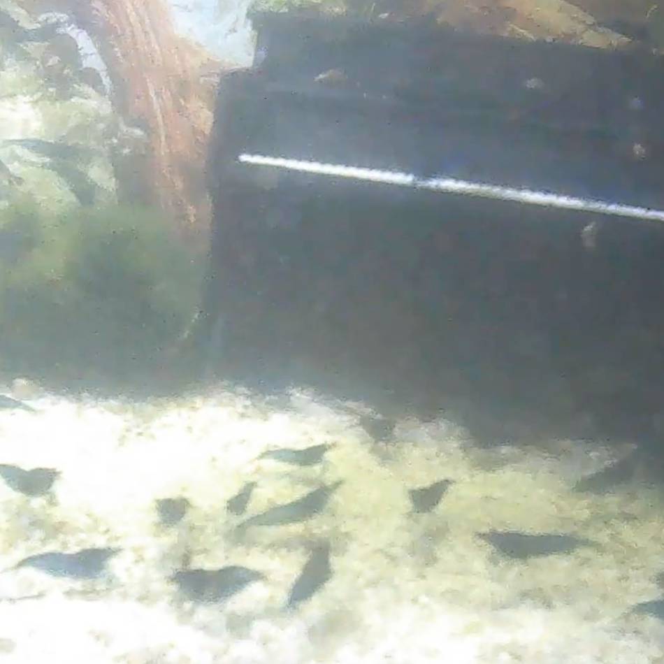 TiV Saarbrücken: Kleines Theater, großer Kummer