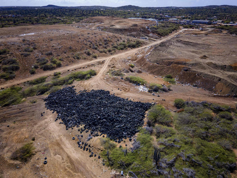 Caribbean island wins climate case against Netherlands forcing Dutch ...