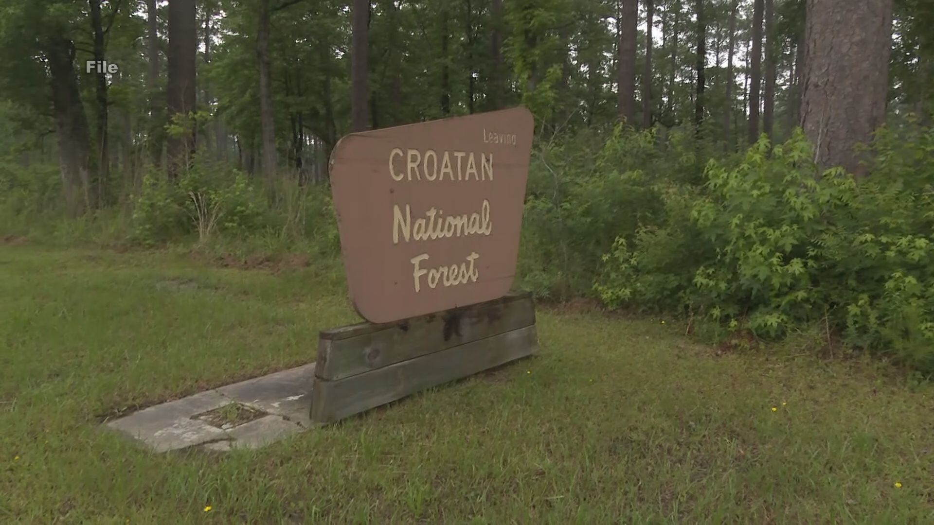 Croatan National Forest beginning 700-acre controlled burns today