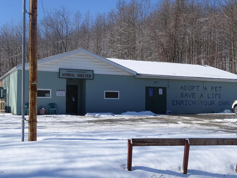 Heartbreaking news about staff member forces animal shelter to close