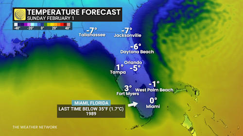 Arctic blast hits US Gulf Coast, rare cold stretches to Miami, Caribbean