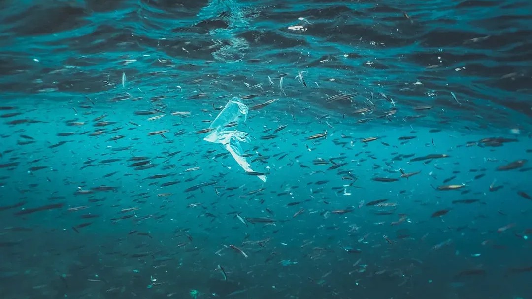 The poisoned paradise: How microplastics found their way to the deepest ...