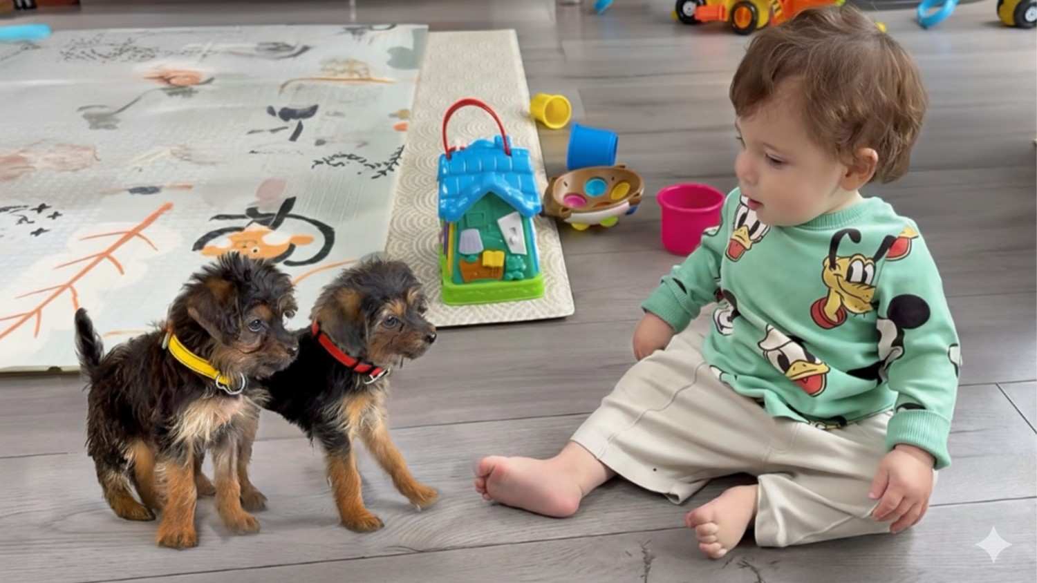 Tiny rescue puppies meet adorable babies for the first time