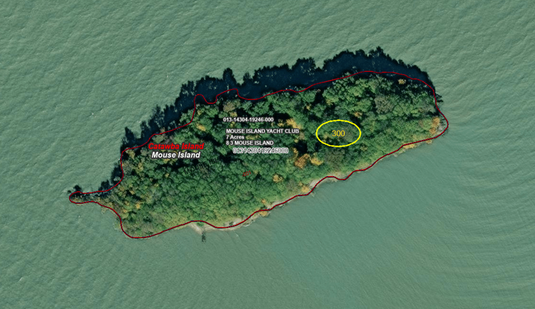 Look: Private Ohio island once owned by a US president goes on sale for ...