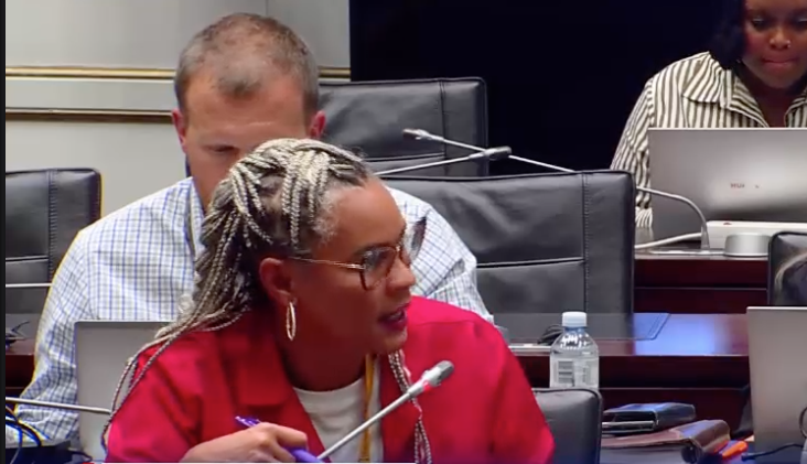 "We've been undermined by Paul O'Sullivan," says EFF MP Mathys