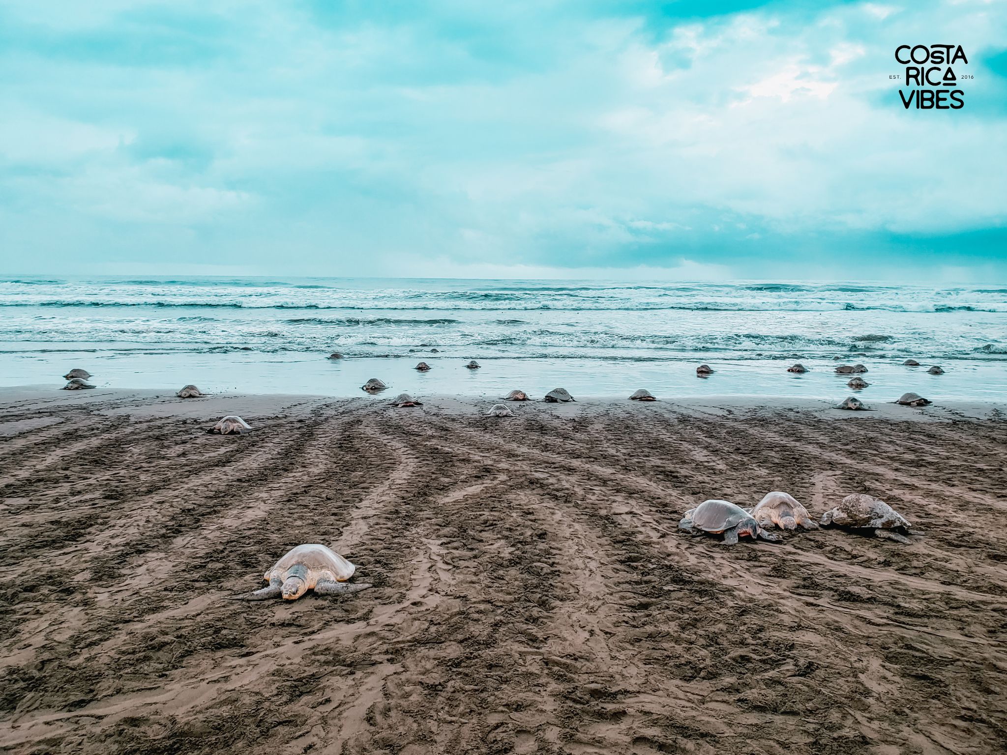 5 Costa Rica bucket list experiences (that are 100% worth the hype)