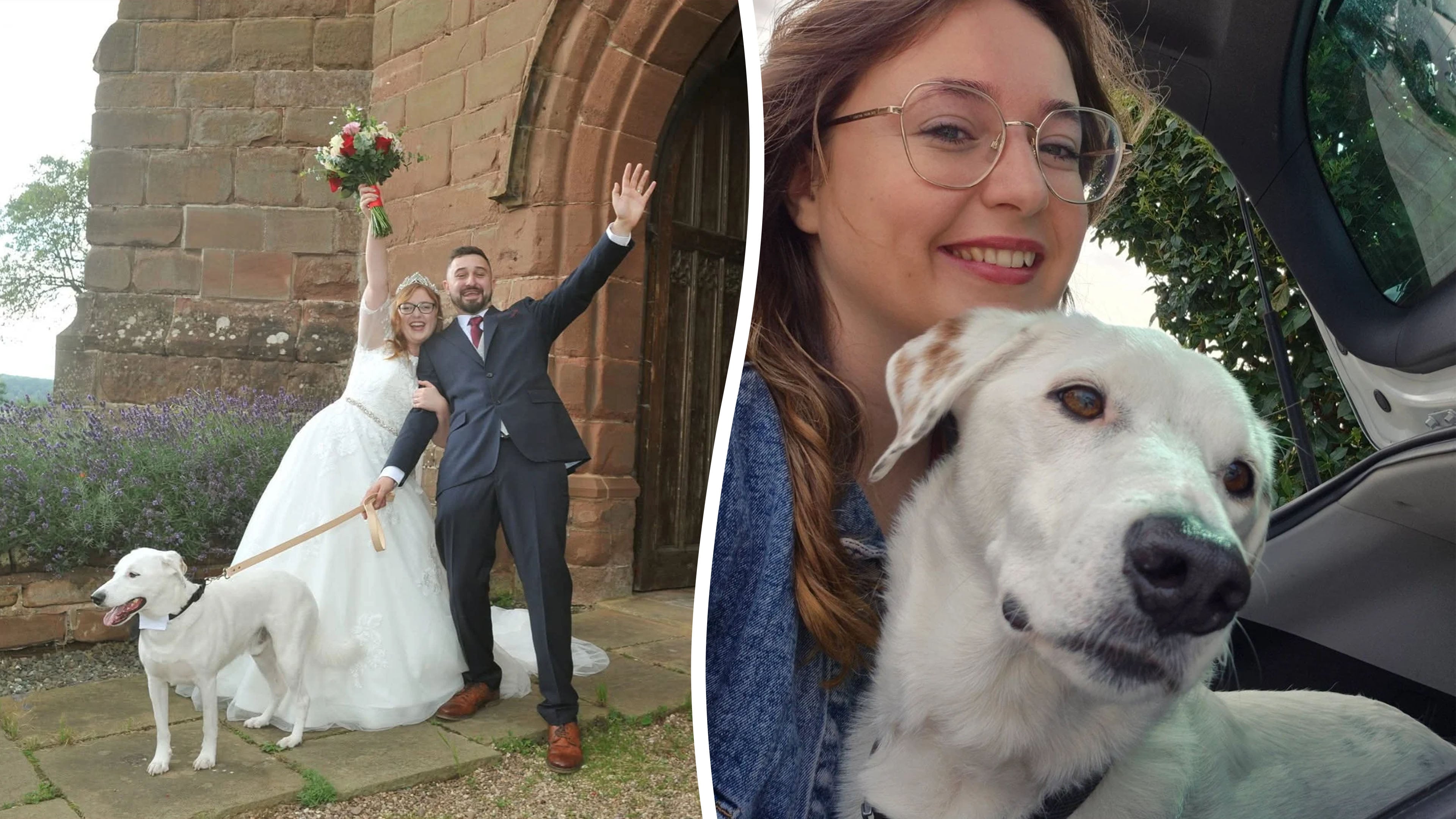 Couple creates playful sign language to communicate with their deaf dog