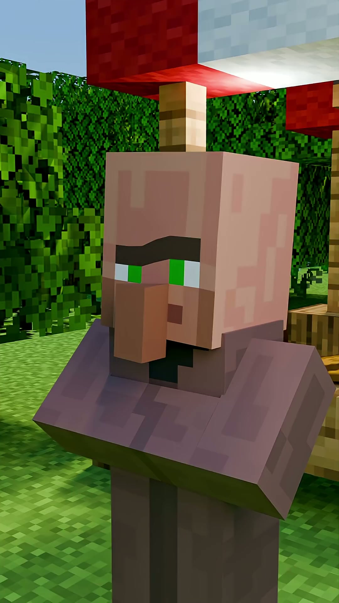 Minecraft witch versus baby villager satisfying 3D simulation