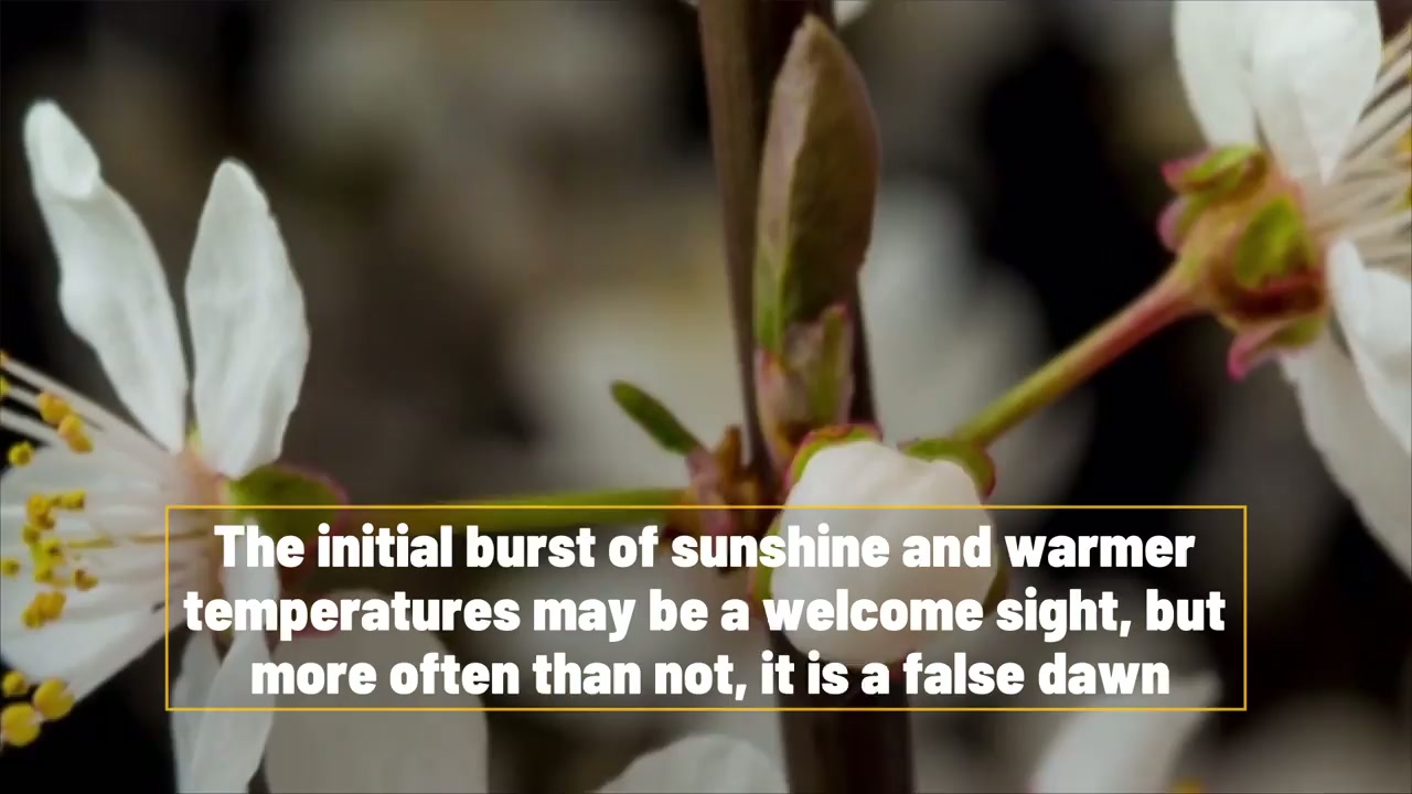 Why gardeners should be aware of false spring
