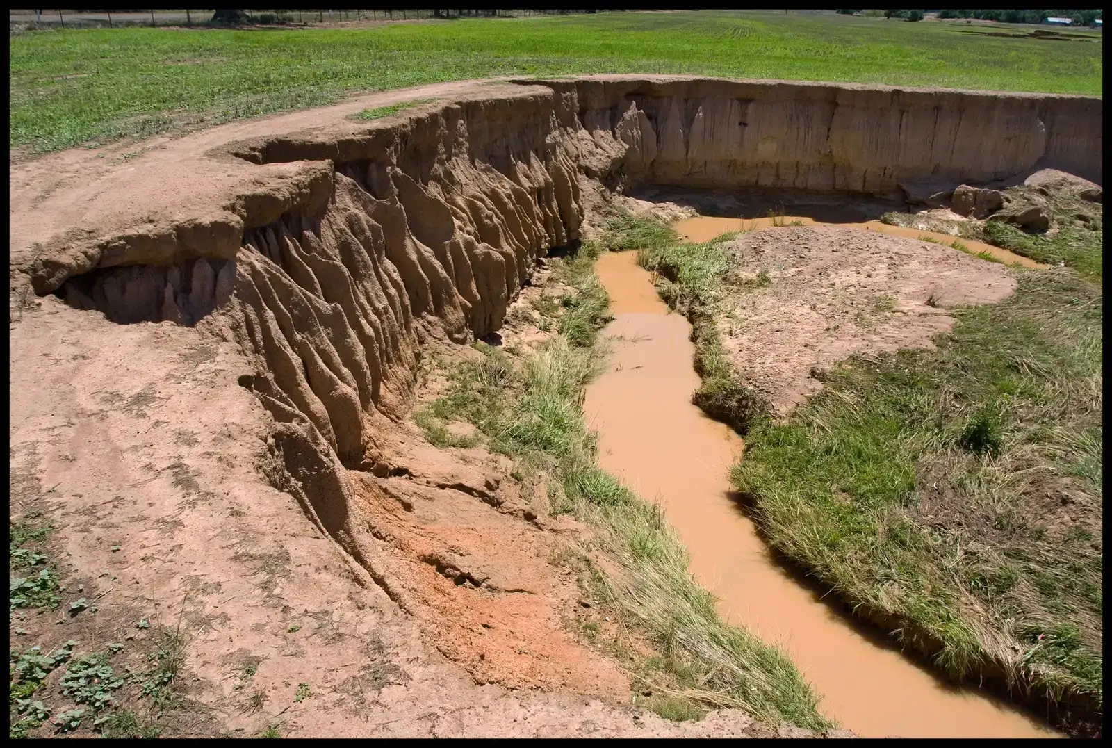 What scientists aren't telling you about the impending soil crisis