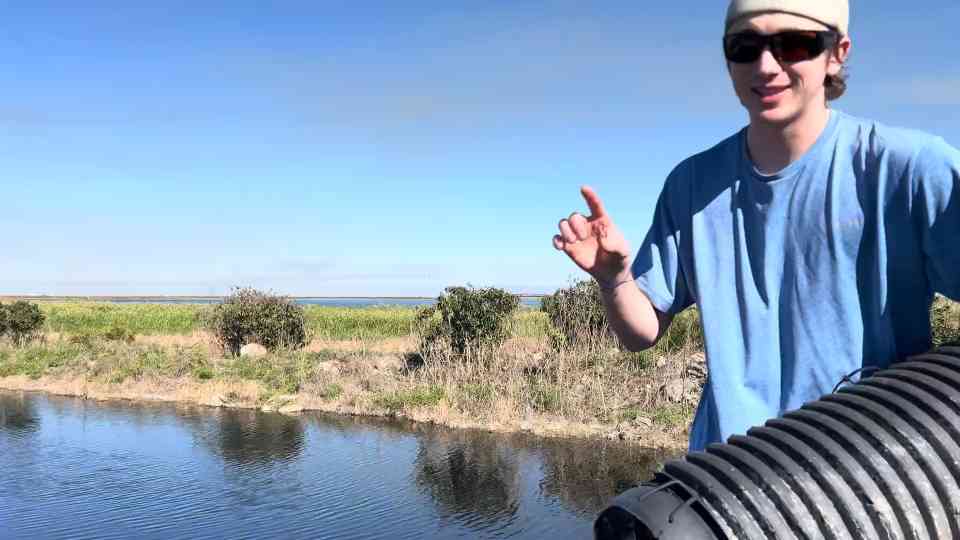 Trapping aquarium fish in alligator infested spillway!