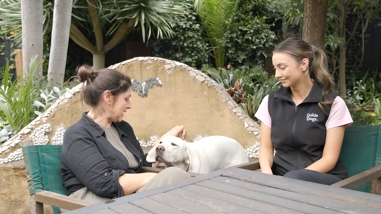 You're going to make me cry... and the puppy came over to comfort her