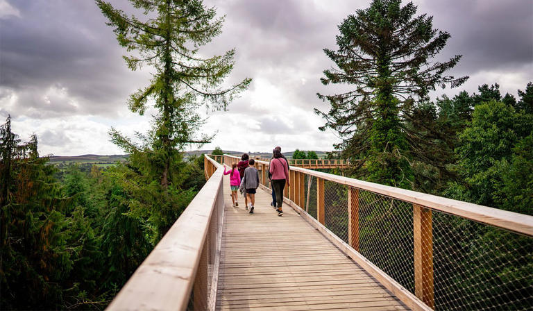 There are absolutely loads of things to do with the family over St ...