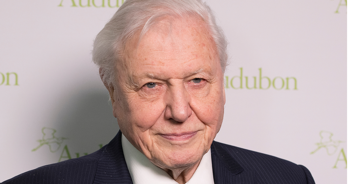 Human skull found in David Attenborough’s garden helped close a 131 ...