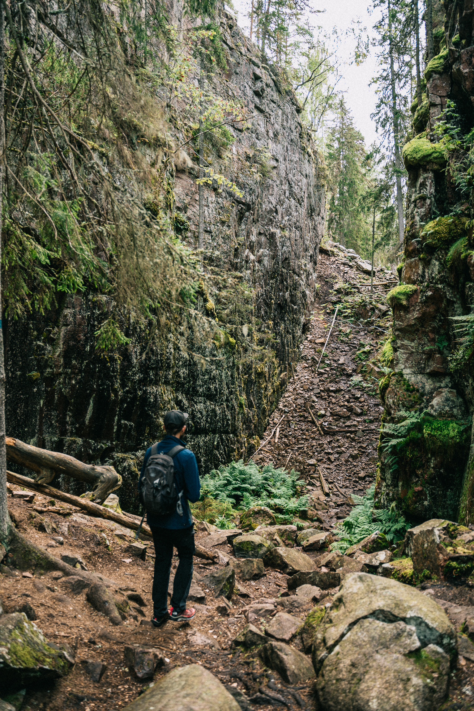 Wat we kunnen leren van het Tasmaniëdrama: 5 tips voor solo-wandelaars