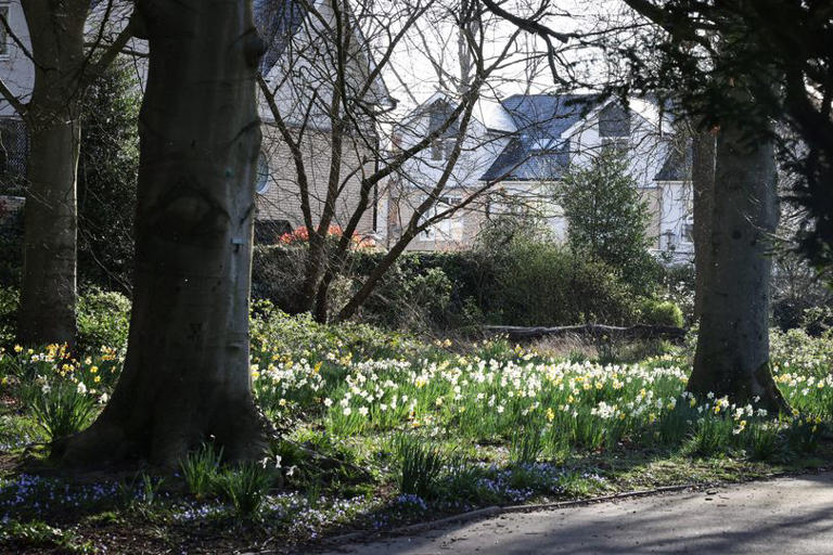 The tiny South Manchester park to visit on a sunny winter’s day