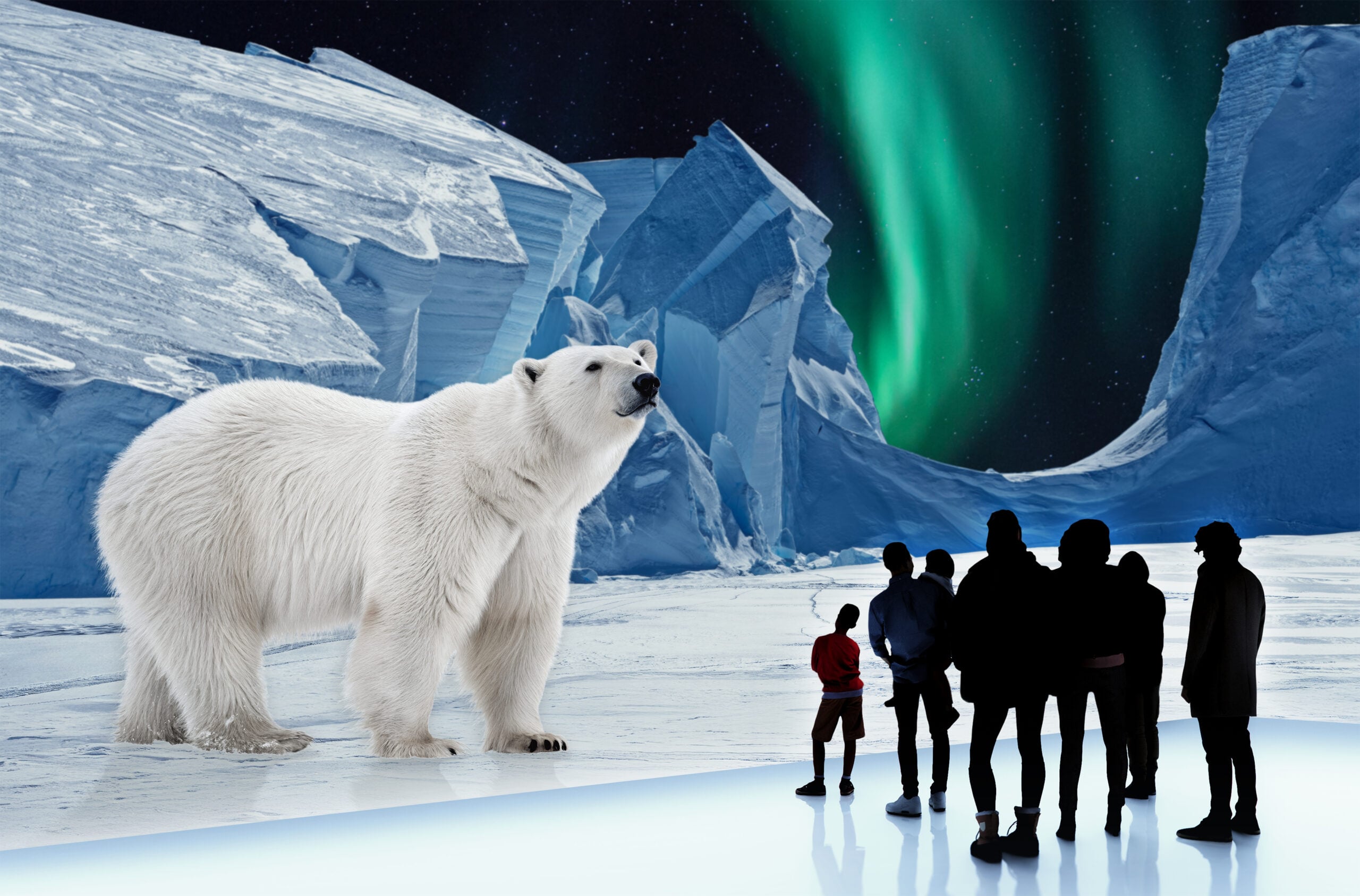 TipBerlin Backstage: In eisige Welten eintauchen mit der Polar Experience