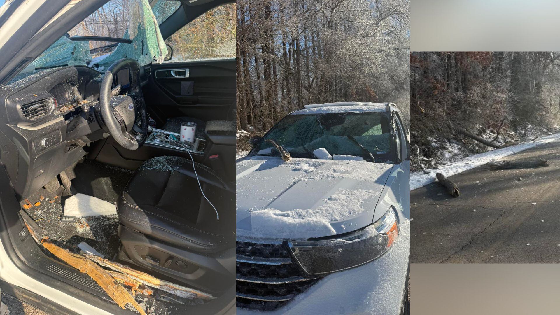 TN sheriff witnesses tree limb fall through passing car’s windshield ...