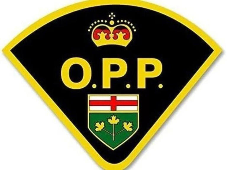 Armed men rob driver in rural Kingsville, set vehicle on fire — OPP