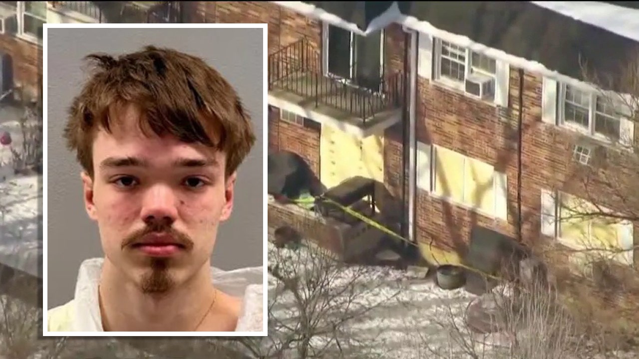 Man charged in Downers Grove apartment fire that killed pregnant woman ...