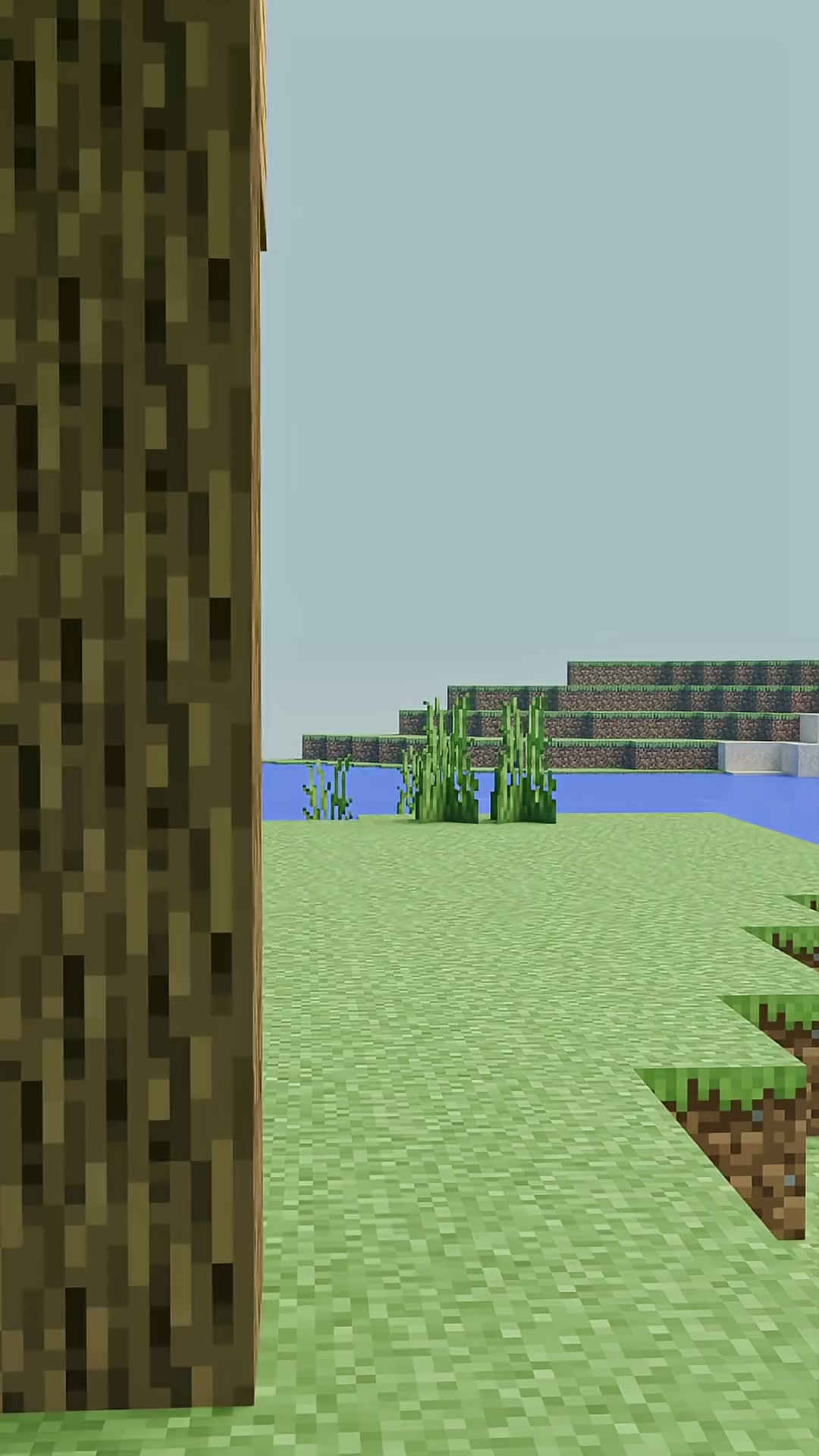 Minecraft witch in love with iron golem satisfying 3D simulation