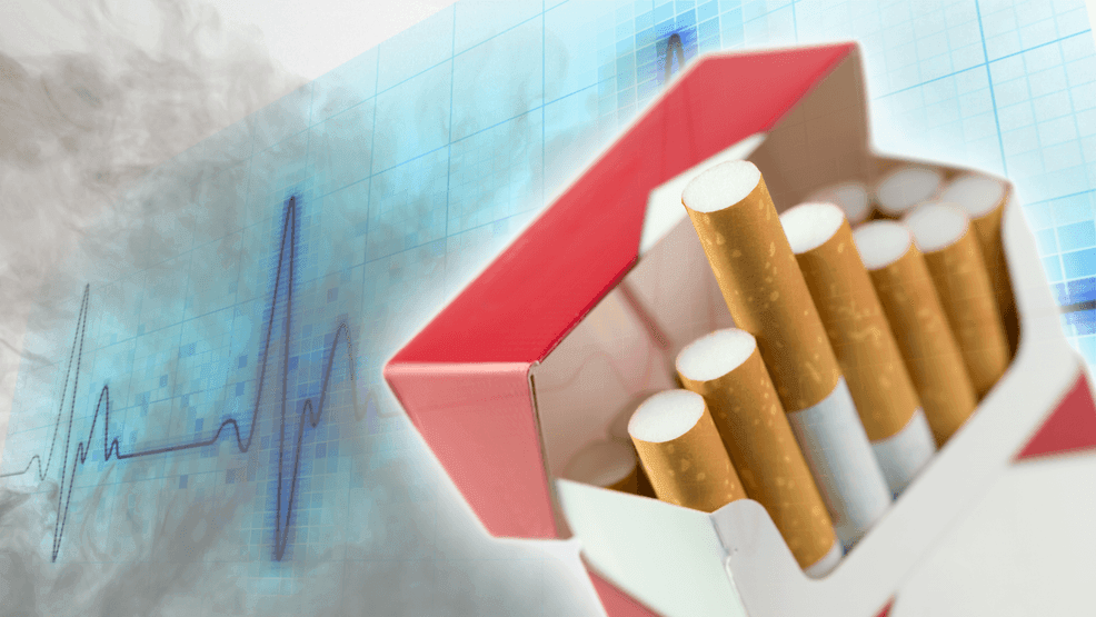 West Virginia gets failing grades in report on state's efforts prevent ...