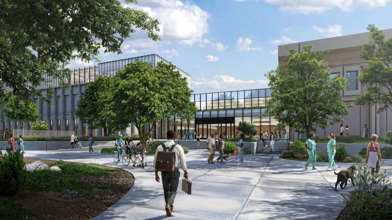 UC Davis receives record $120 million gift for veterinary school