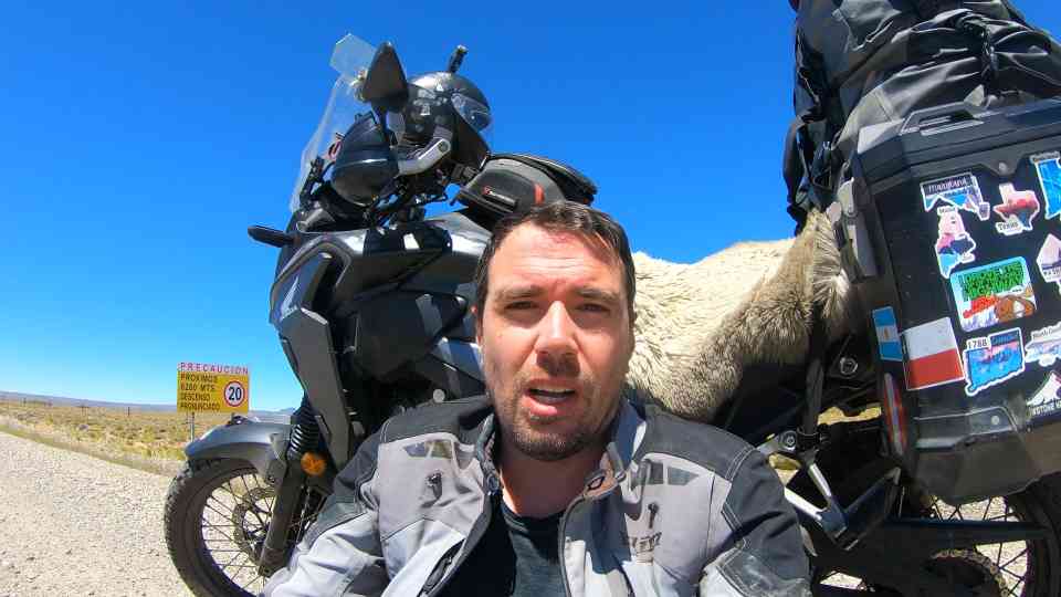 Ride Patagonia | Locusts, llamas, ostriches | A Patagonian motorcycle ...