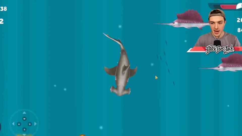 How Fast You Can Evolve By Eating Sharks