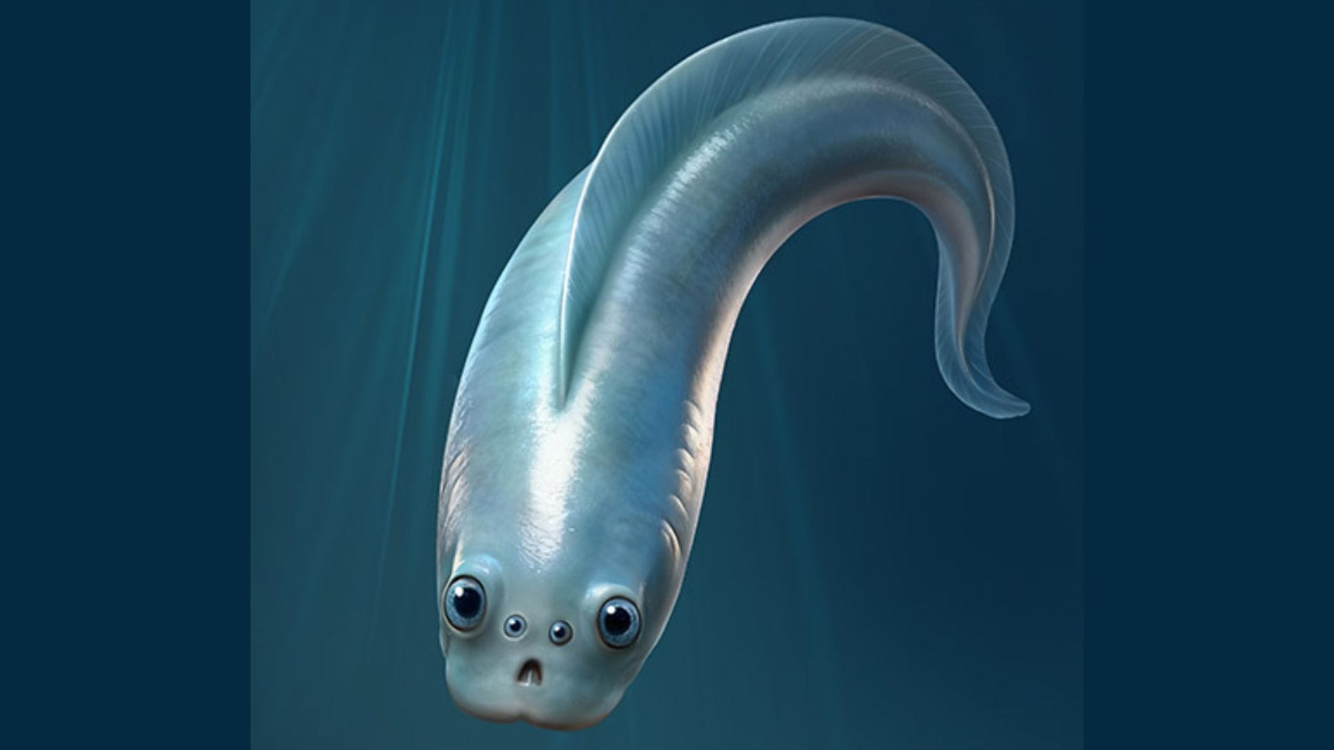 Earliest known vertebrates had four camera-type eyes