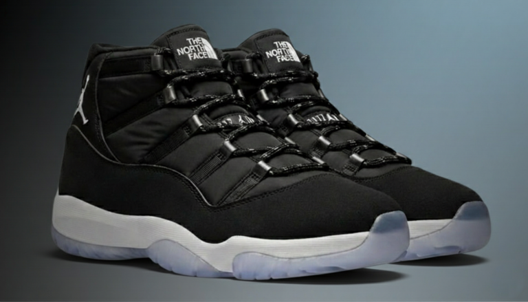 Air Jordan 11 'Concord Winterized' North Face concept sneaker