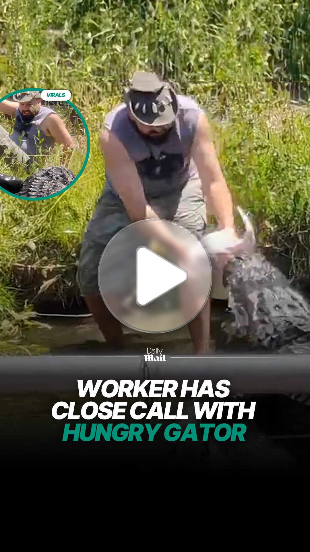 Worker narrowly avoids hungry alligator in close encounter