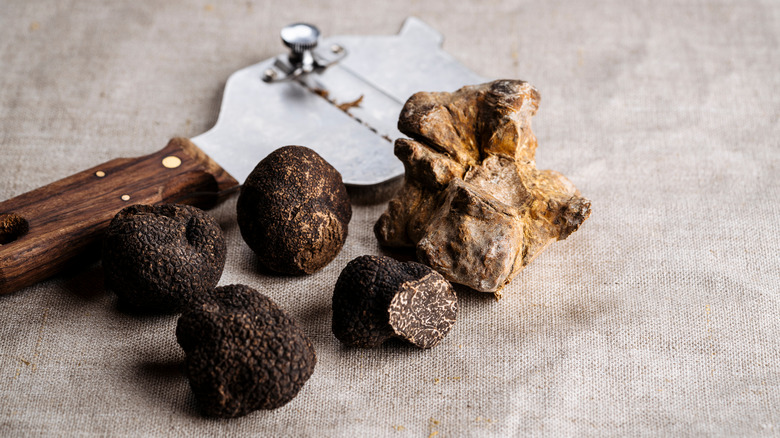 The ultimate guide to truffles