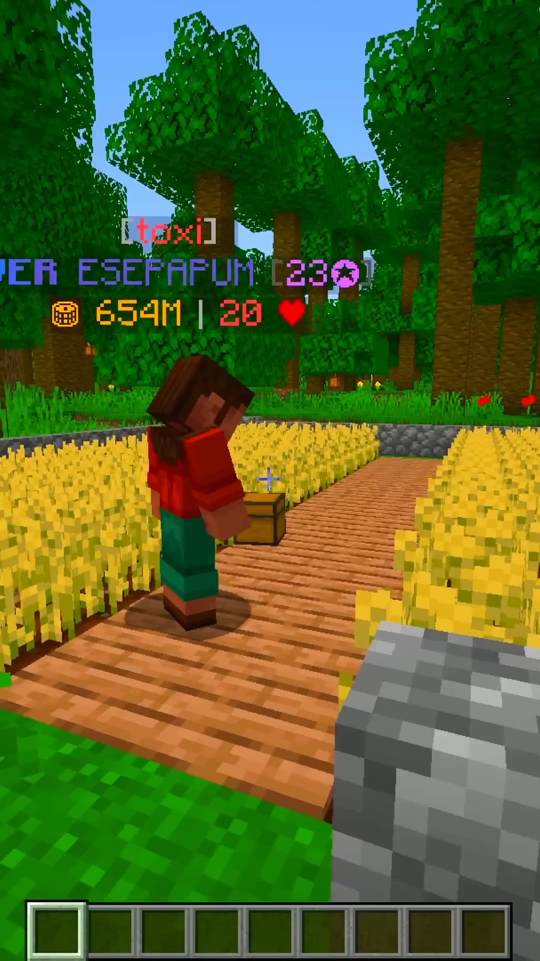 Este jugador estaba escalando el monte Everest