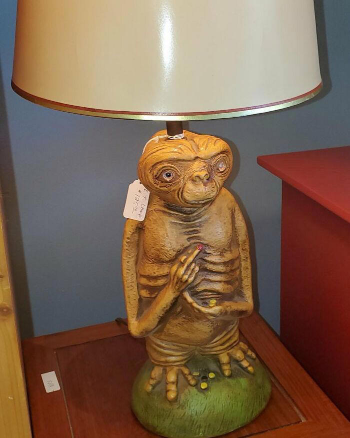 18 times people were 'lucky' to find these gems while thrifting that ...