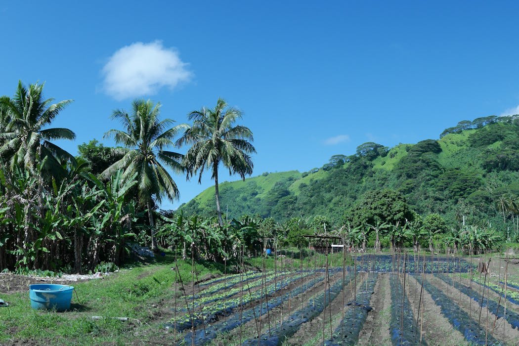 Face aux aléas climatiques, les îles du Pacifique mobilisent les ...