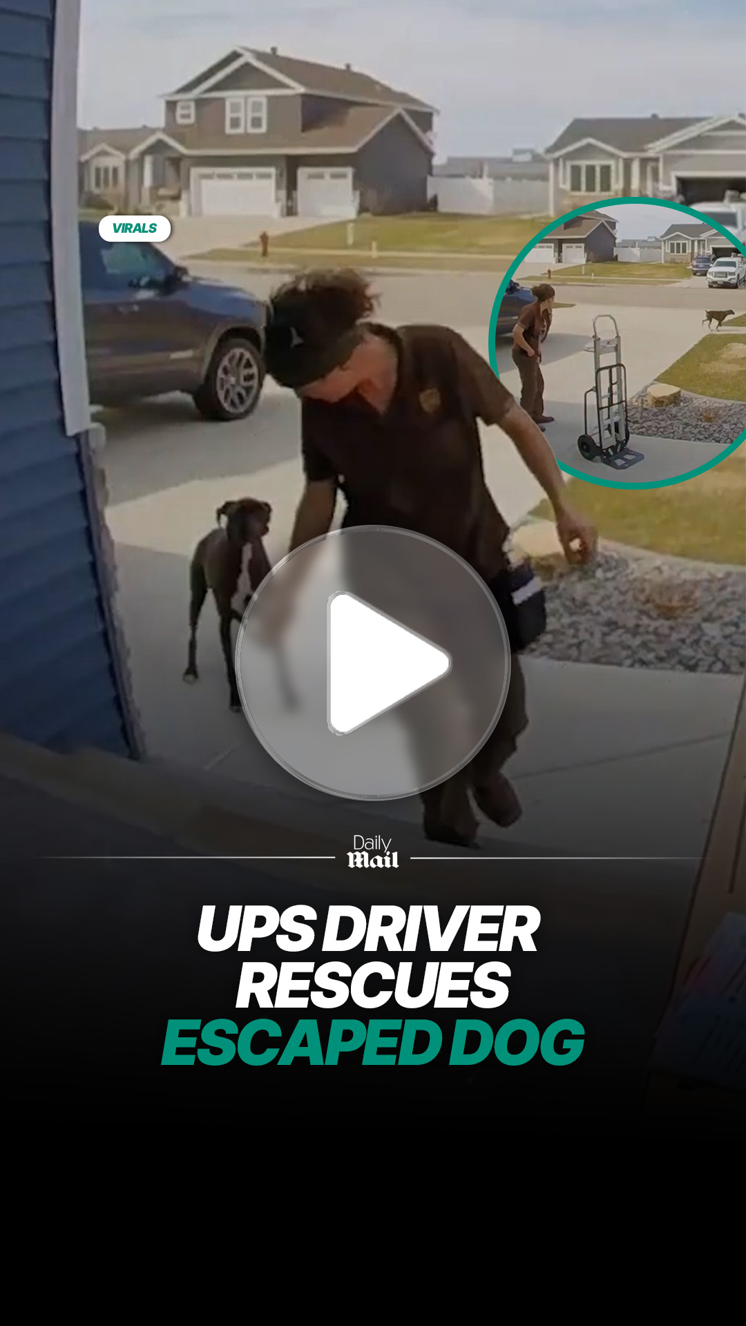 UPS driver rescues escaped dog during delivery route