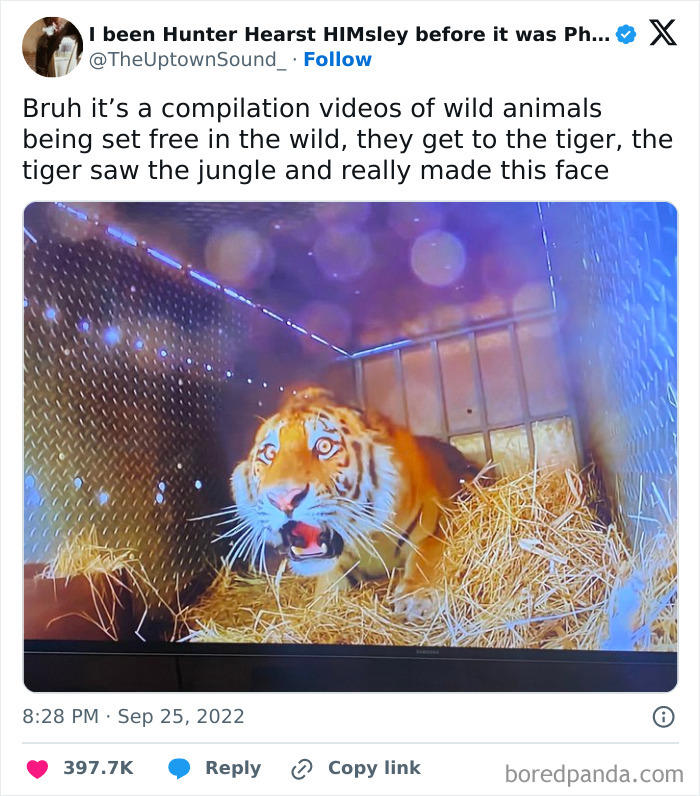 This Facebook page is all about random memes, here is a selection of ...