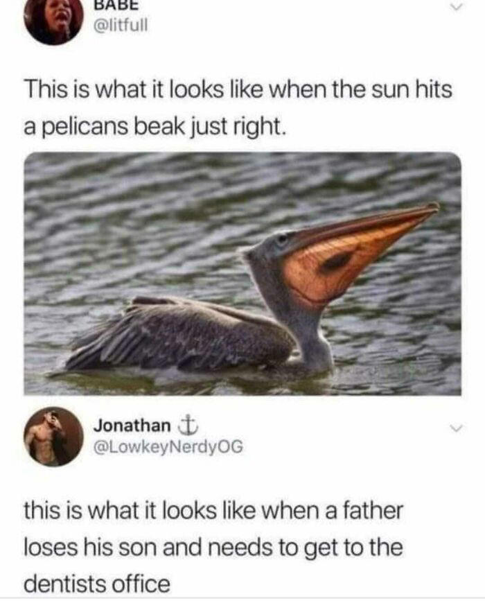 This Facebook page is all about random memes, here is a selection of ...