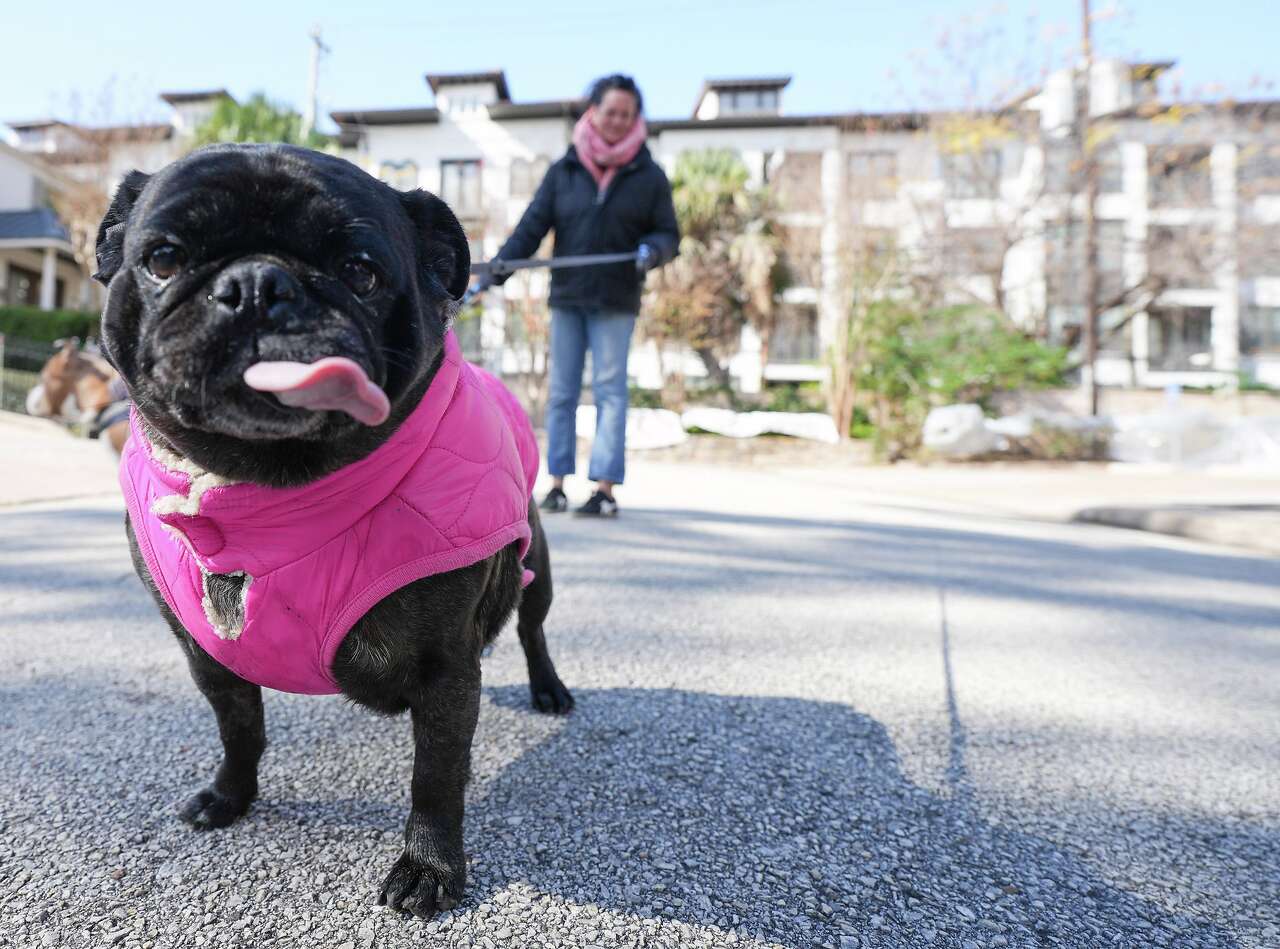 Will Texas weather stay cold in February? Here's what the forecast ...